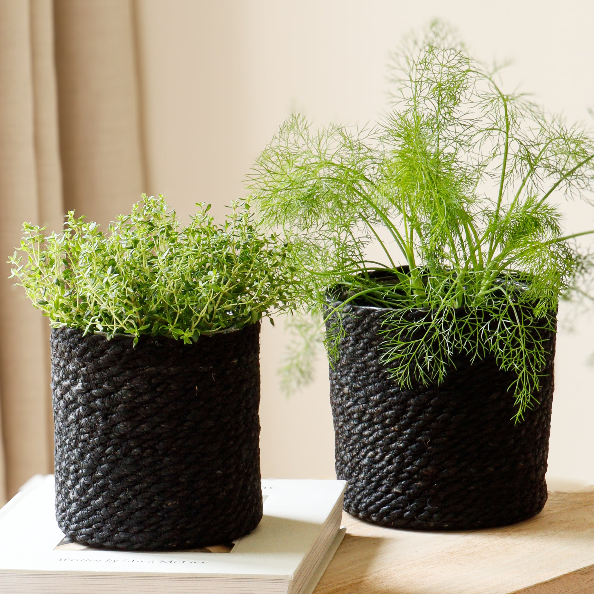 Black Jute Plant Pot - Marquis & Dawe