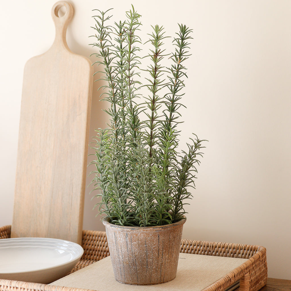 Faux Potted Rosemary Herb Plant - Marquis & Dawe