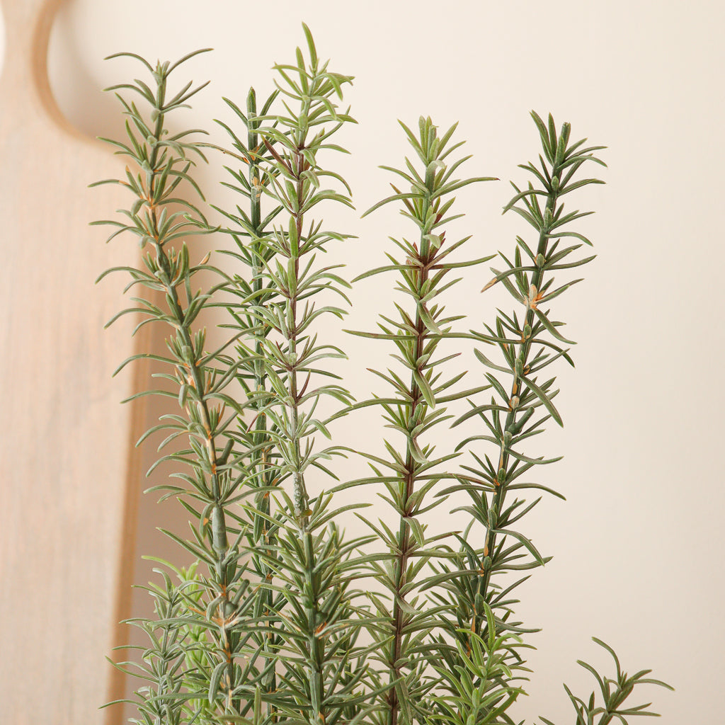 Faux Potted Rosemary Herb Plant - Marquis & Dawe