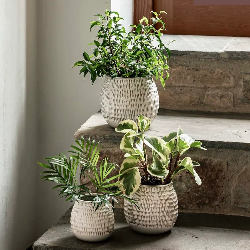 Dappled Ceramic Plant Pot Marquis And Dawe
