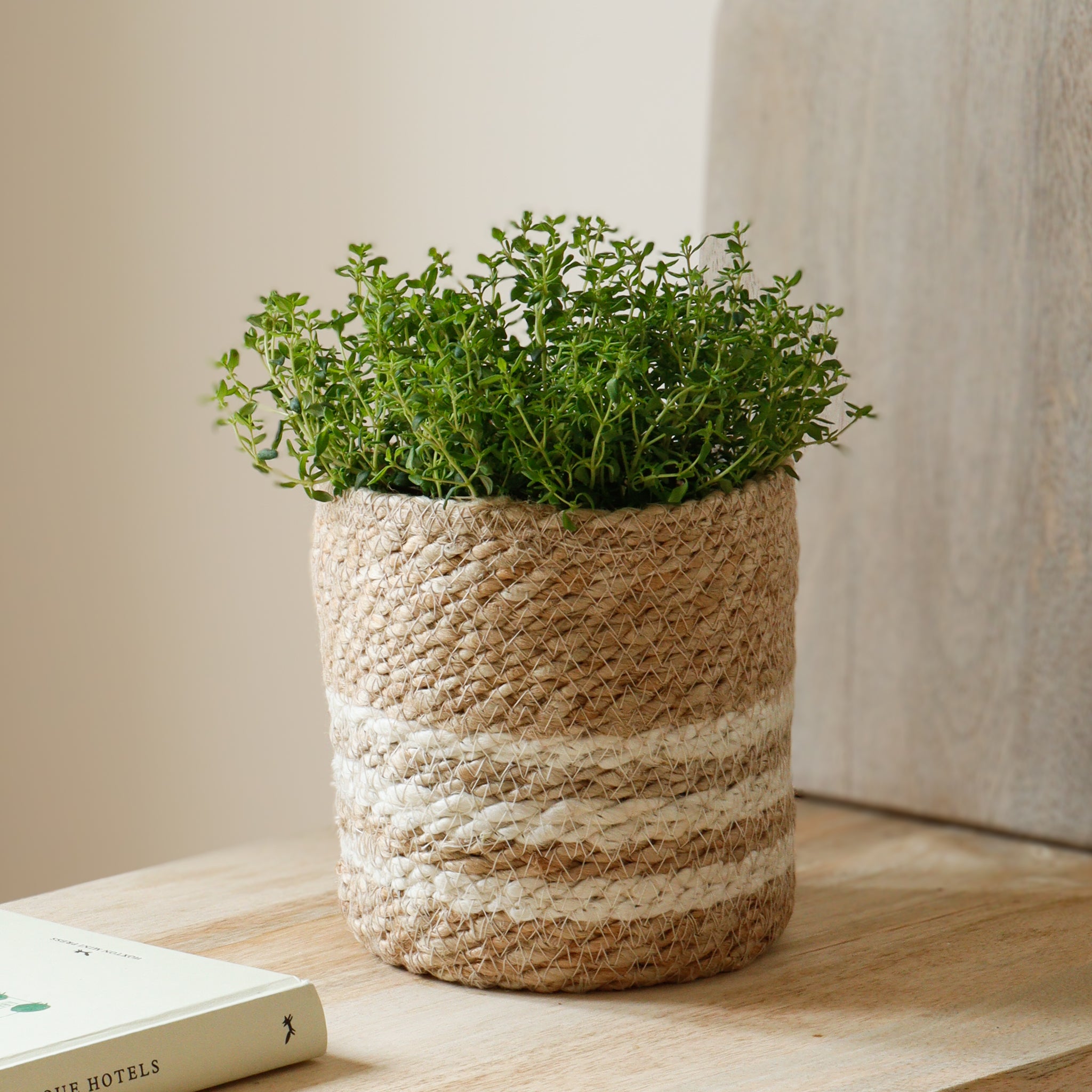 Jute Plant Pot With White Stripes - Marquis & Dawe