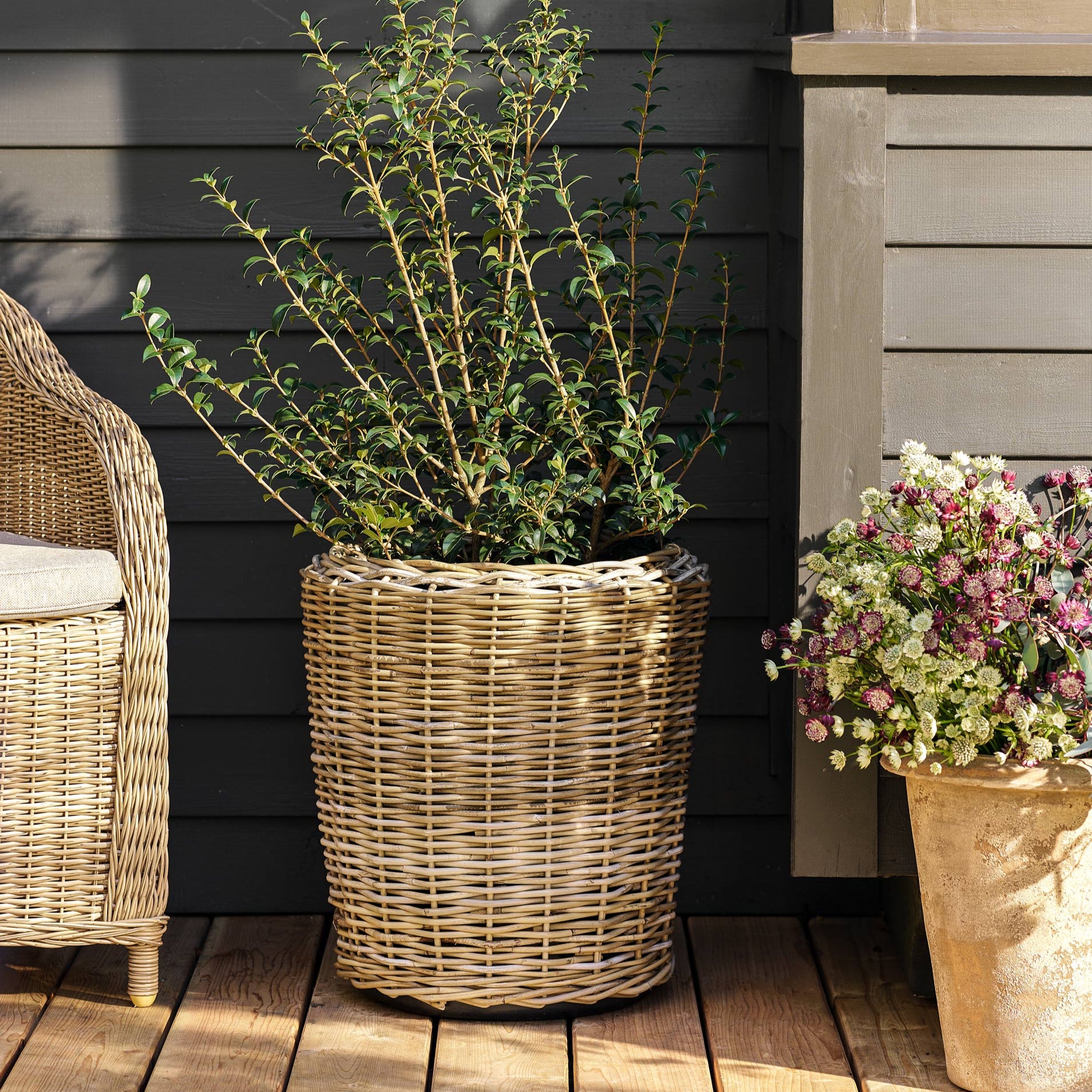 Rattan Planters for Indoors or Outdoors - Marquis & Dawe