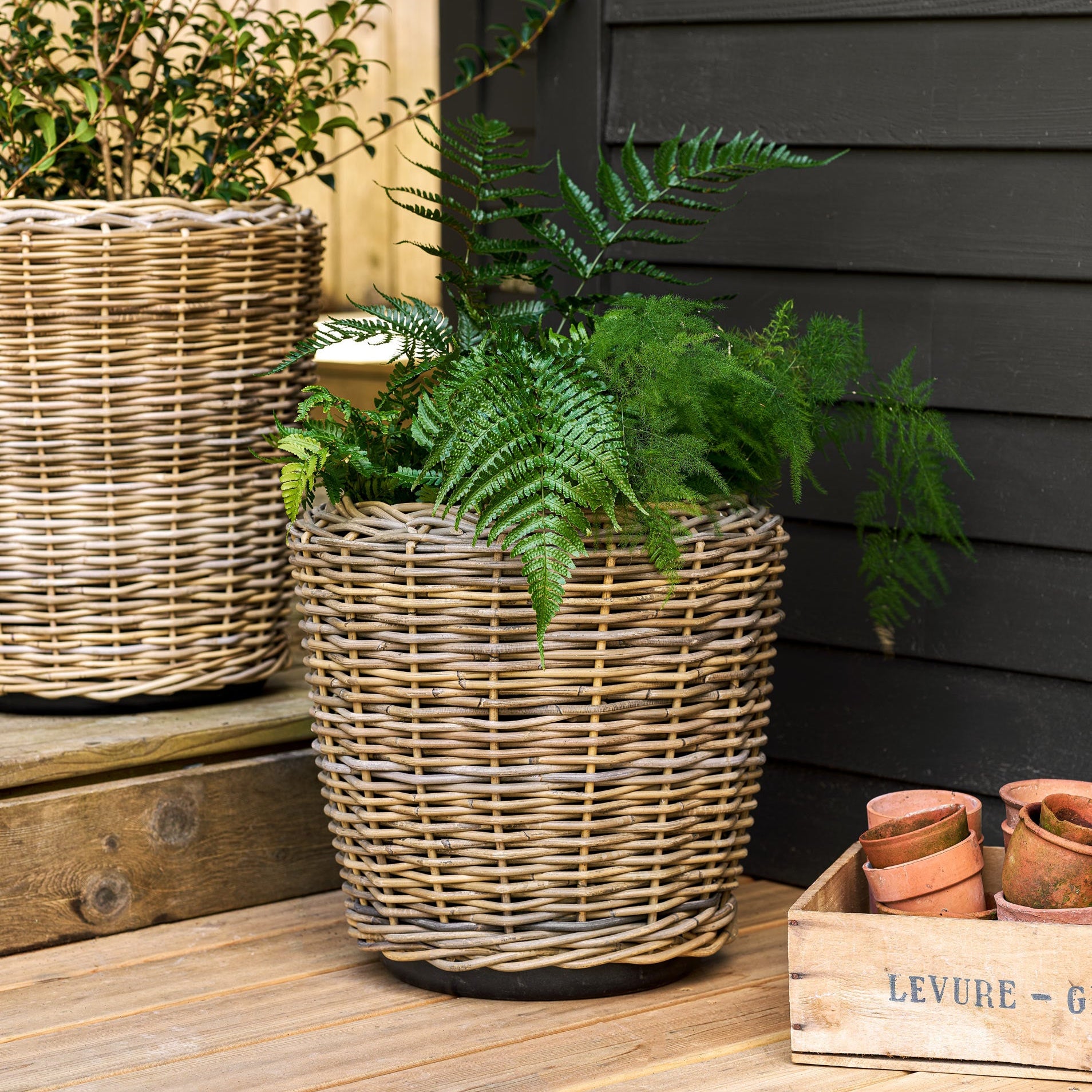 Rattan Planters for Indoors or Outdoors - Marquis & Dawe