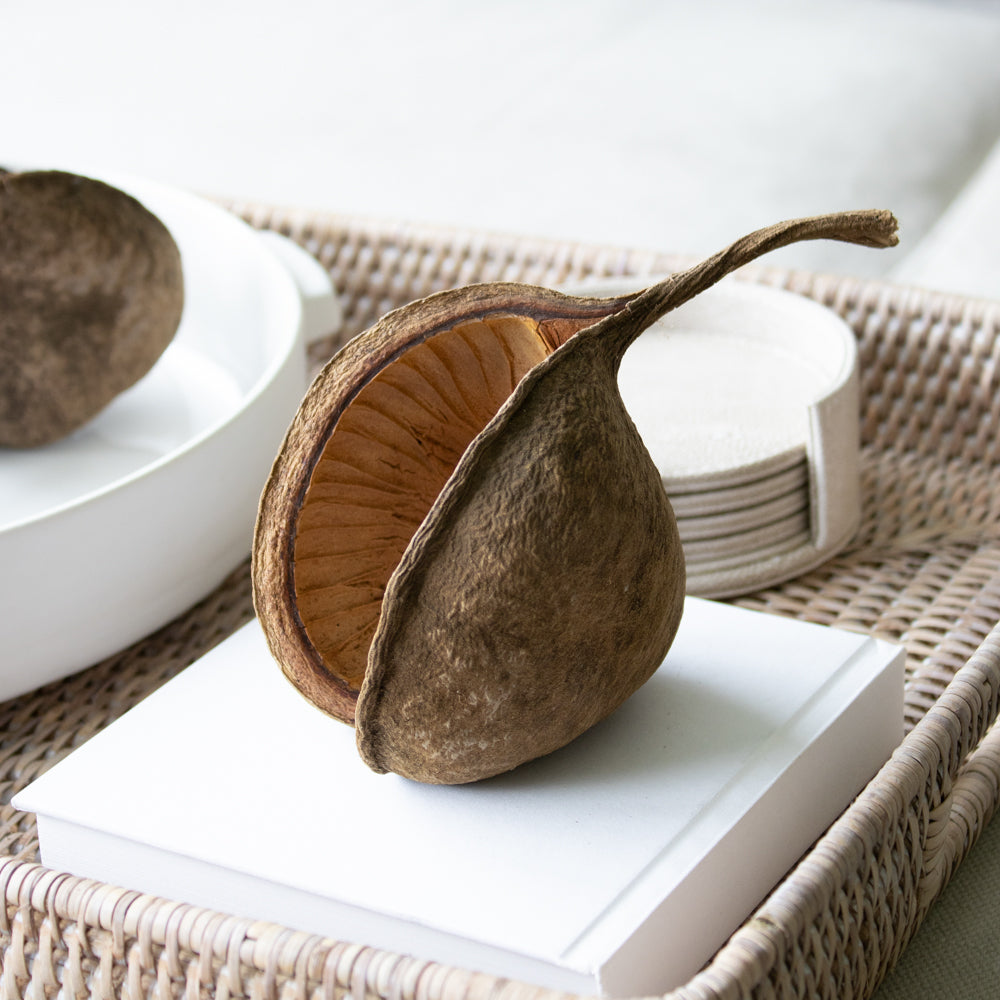 Five Dried Large Nut Pods - Marquis & Dawe