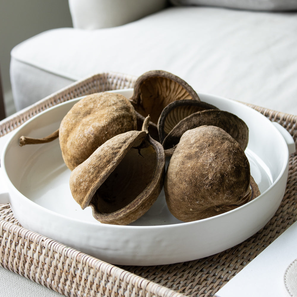 Five Dried Large Nut Pods - Marquis & Dawe