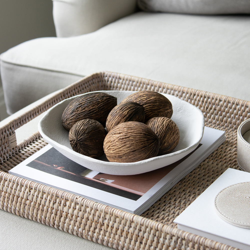 Six Dried Nut Pods - Marquis & Dawe