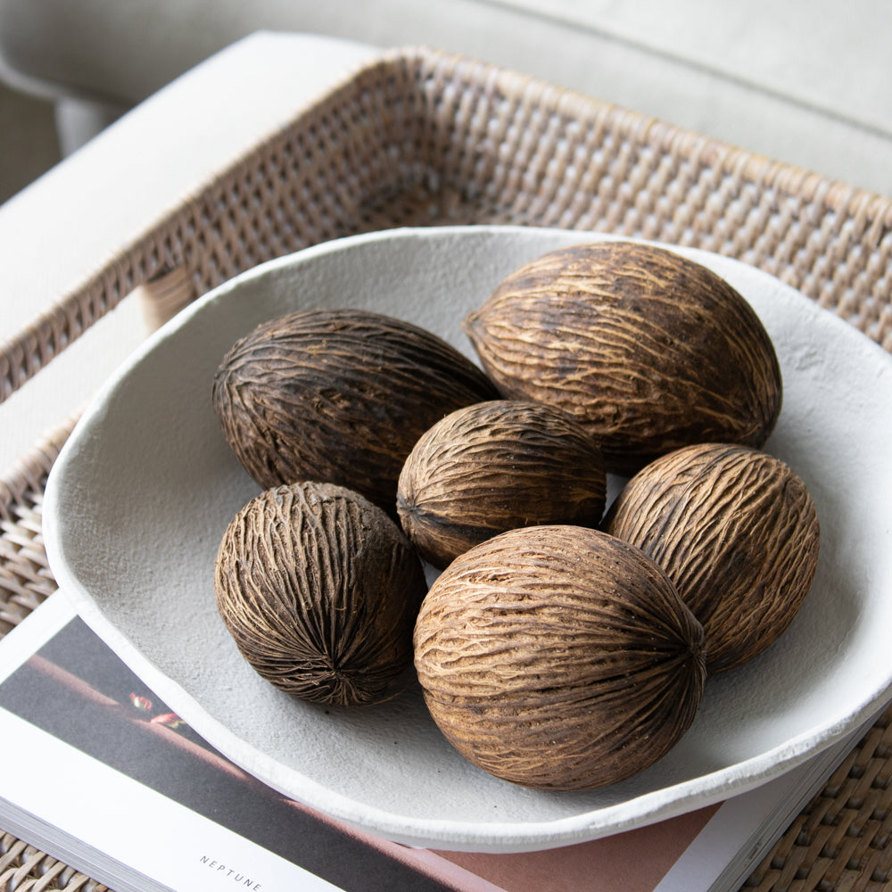 Six Dried Nut Pods - Marquis & Dawe