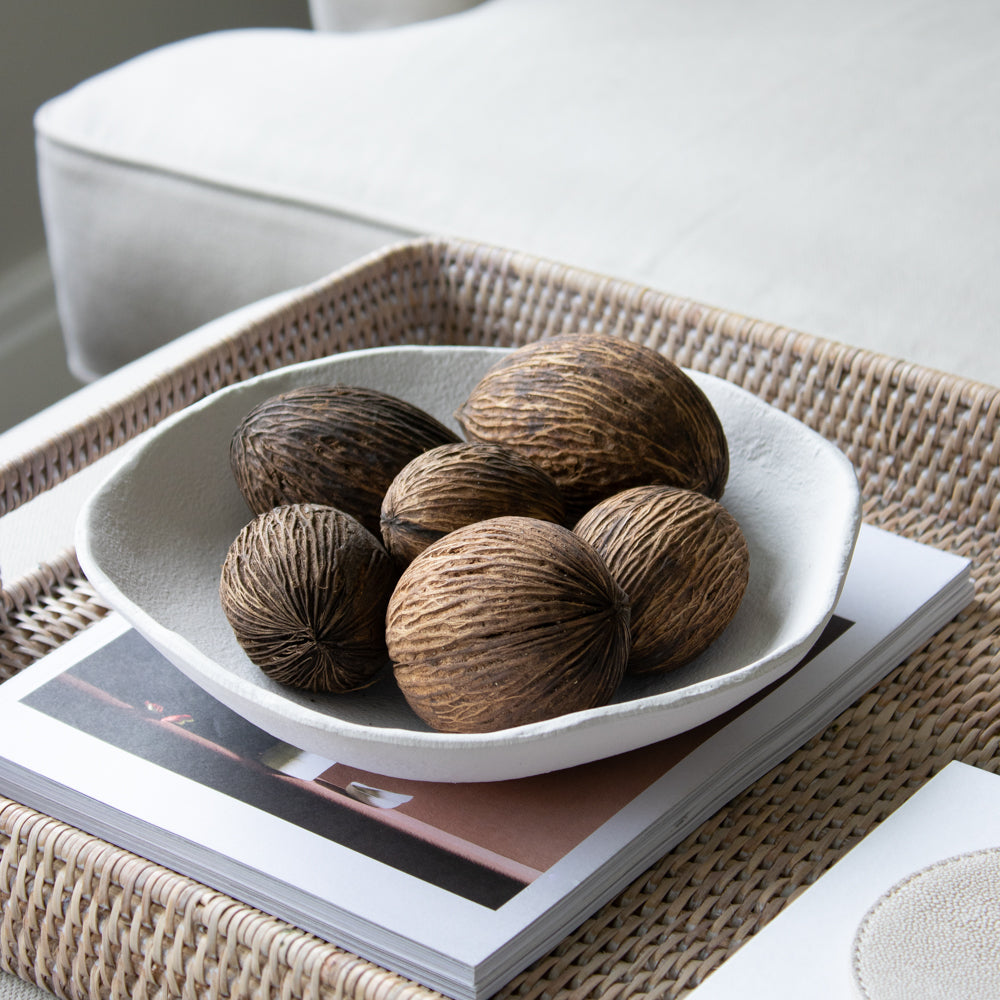 Six Dried Nut Pods - Marquis & Dawe