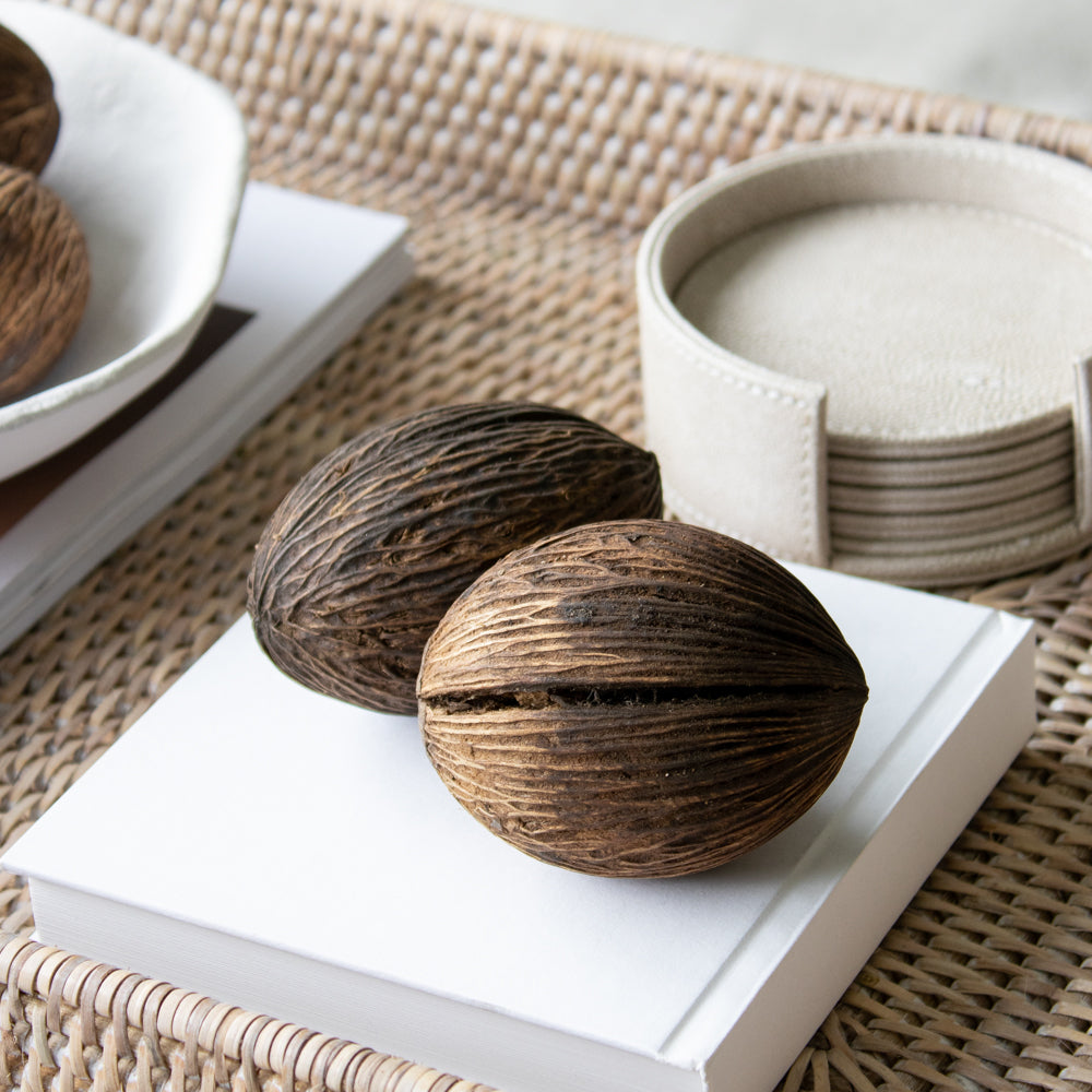 Six Dried Nut Pods - Marquis & Dawe