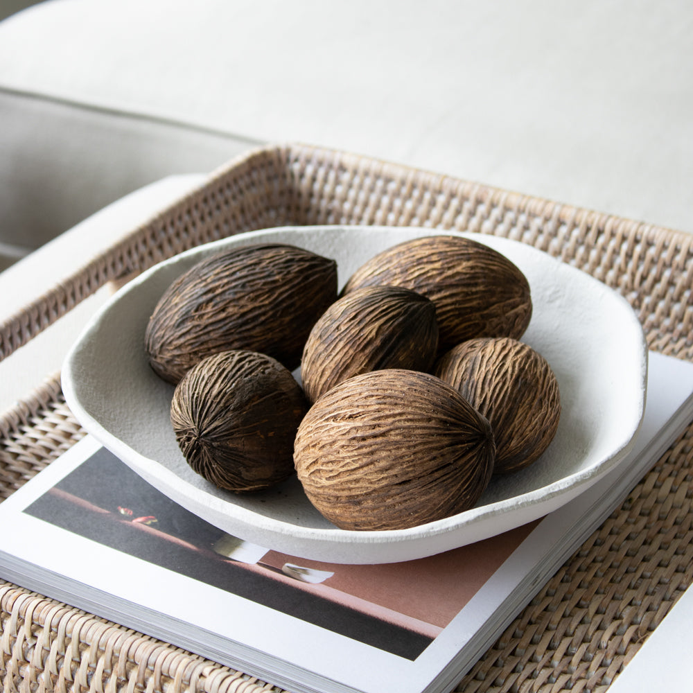 Six Dried Nut Pods - Marquis & Dawe