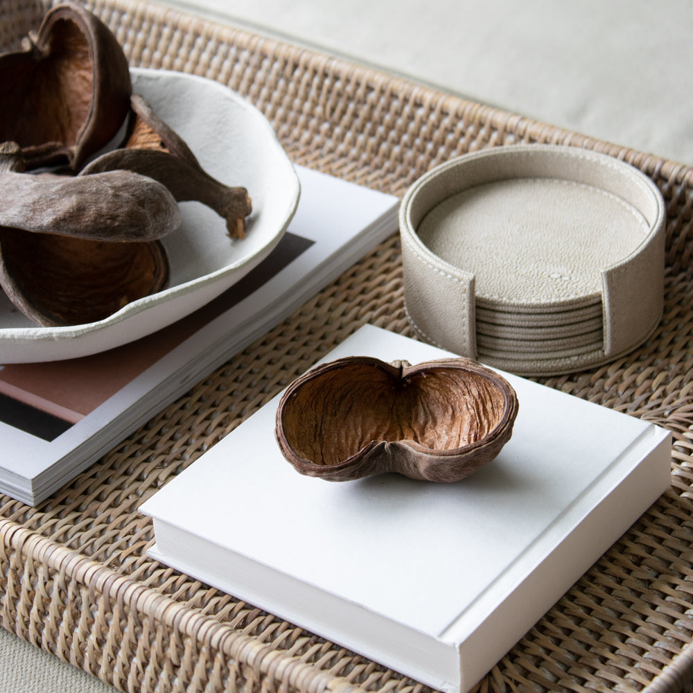 Six Dried Seed pods - Marquis & Dawe