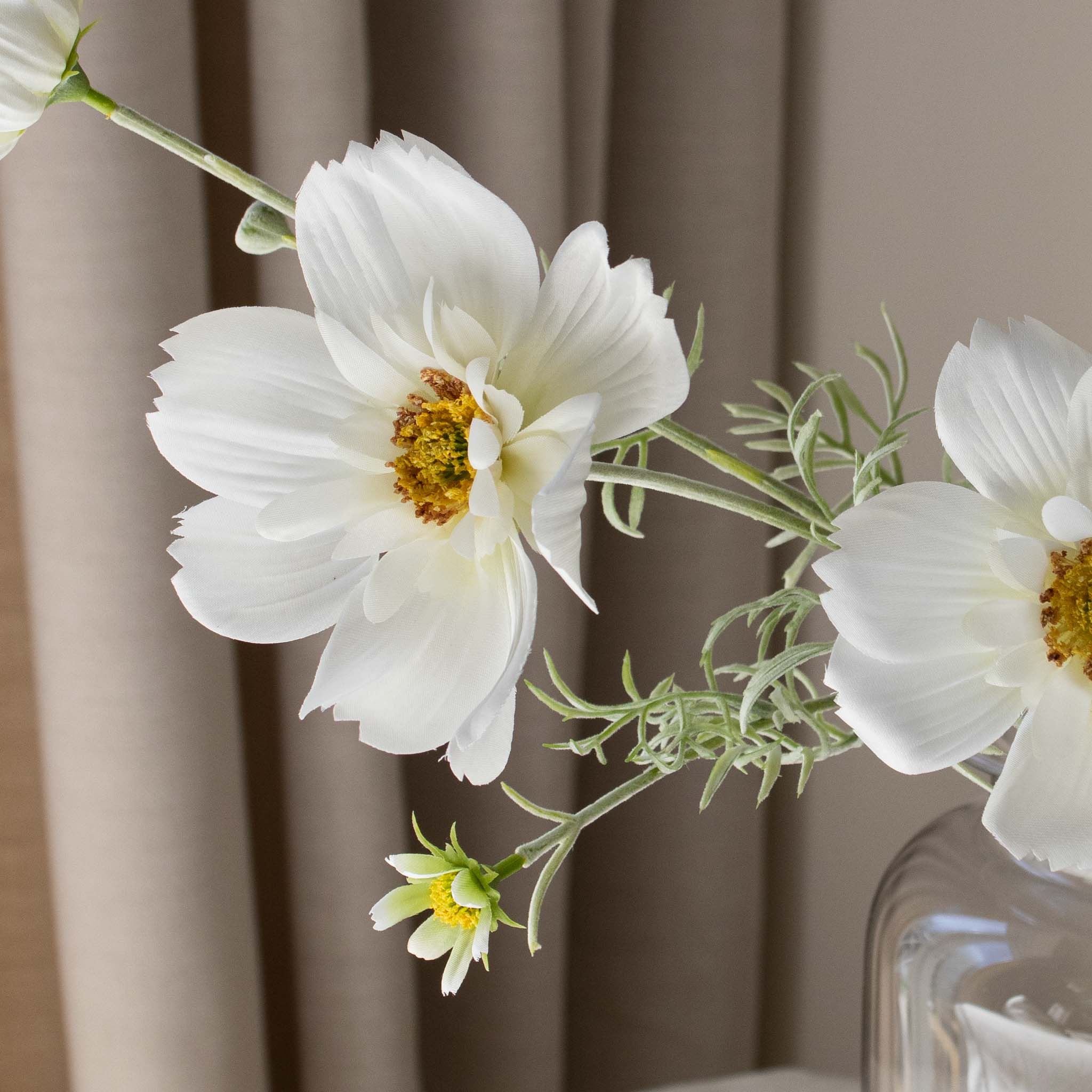 Faux Large Cosmos Stem - Marquis & Dawe