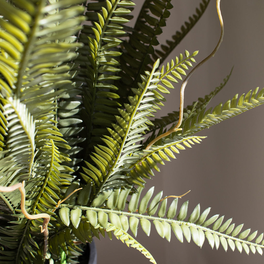 Large Faux Fern In Pot - Marquis & Dawe