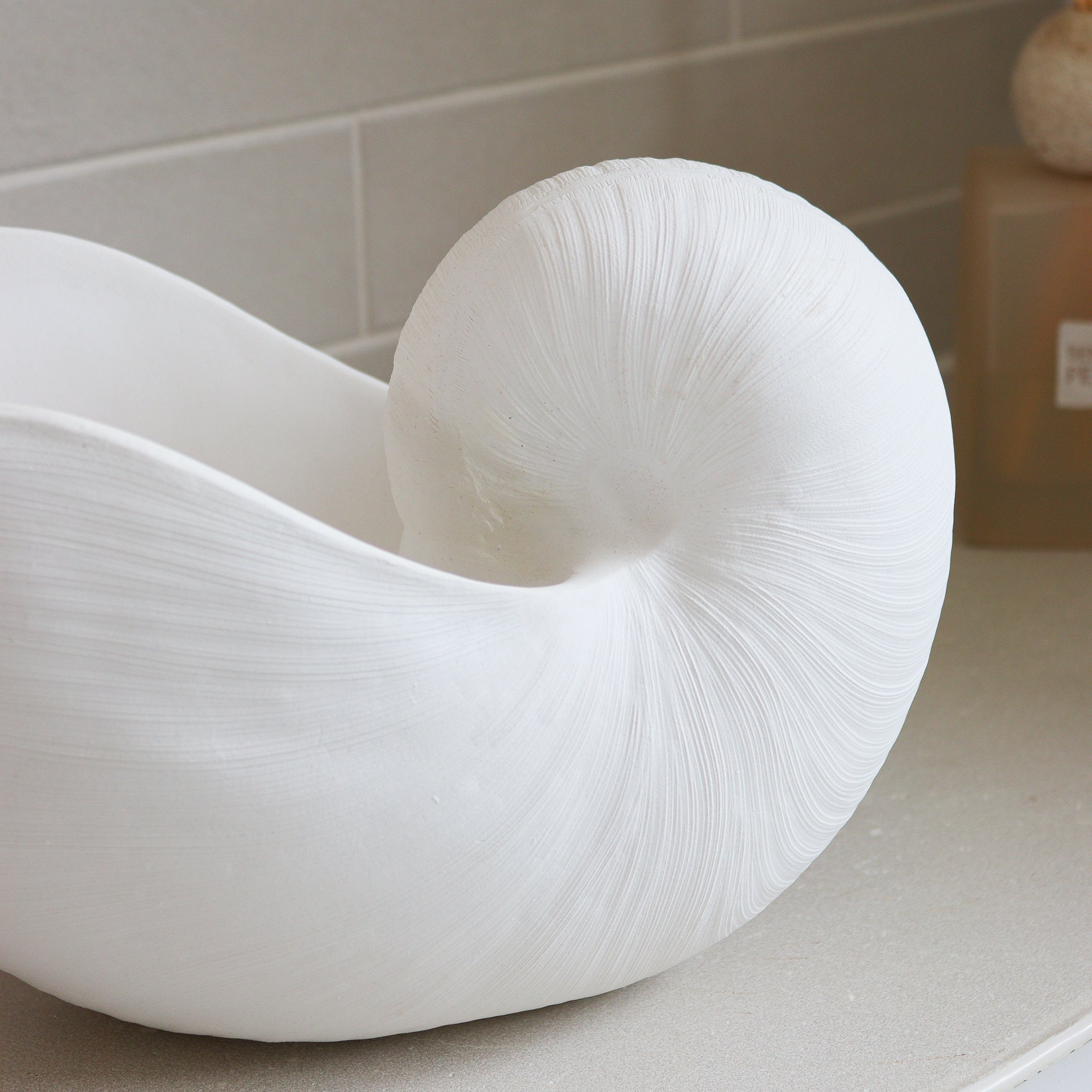 Decorative White Porcelain Shell - Marquis & Dawe