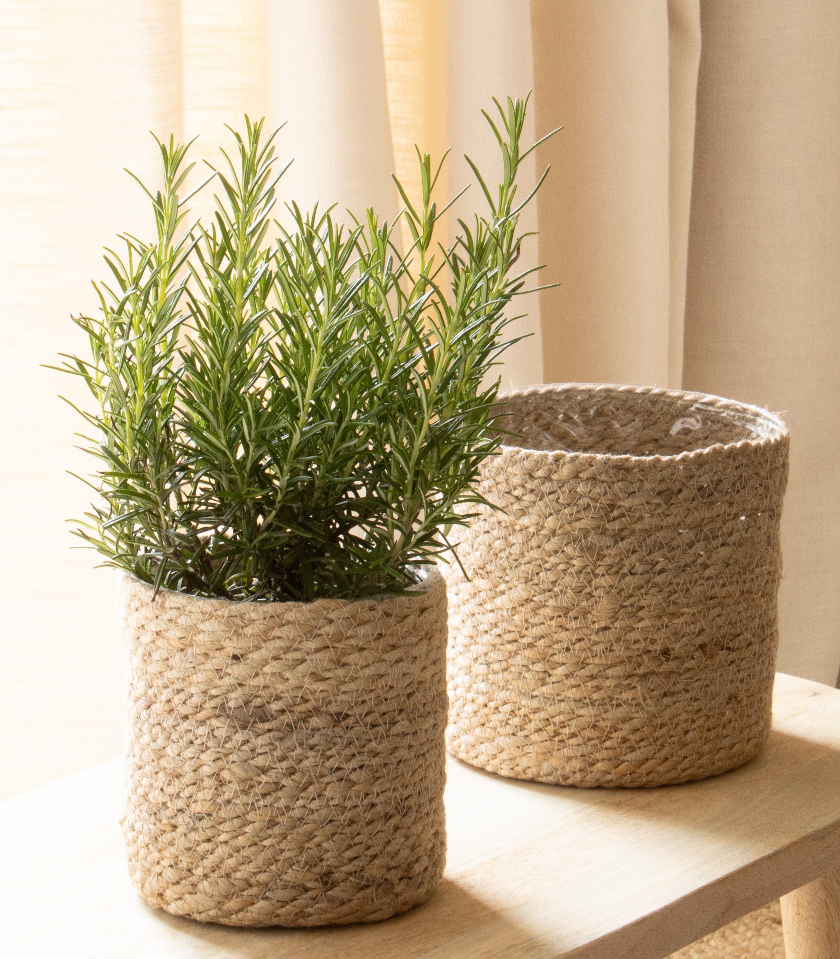 Pale Jute Plant Pot - Marquis & Dawe