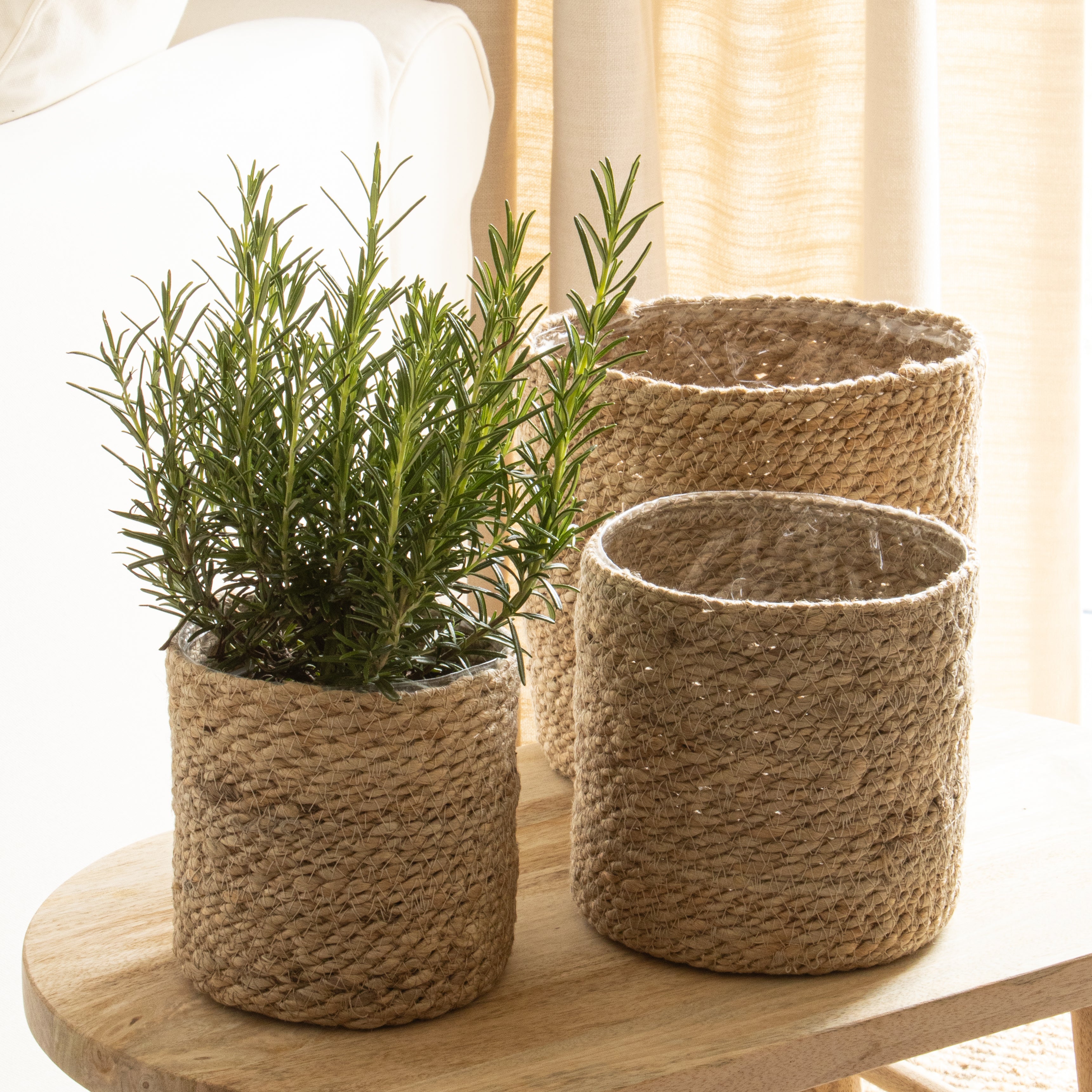 Pale Jute Plant Pot - Marquis & Dawe