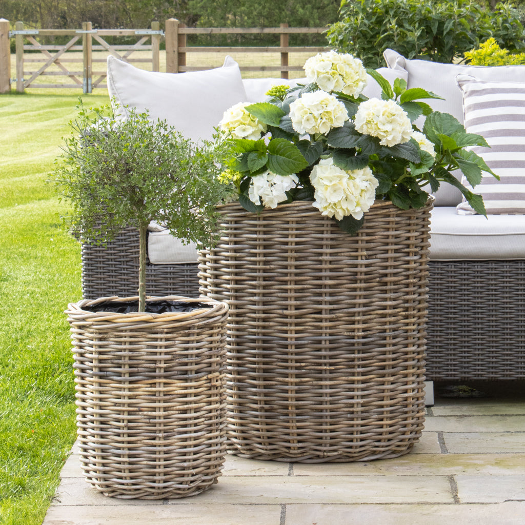 Extra Large Round Rattan Planter With Curved Base - Marquis & Dawe