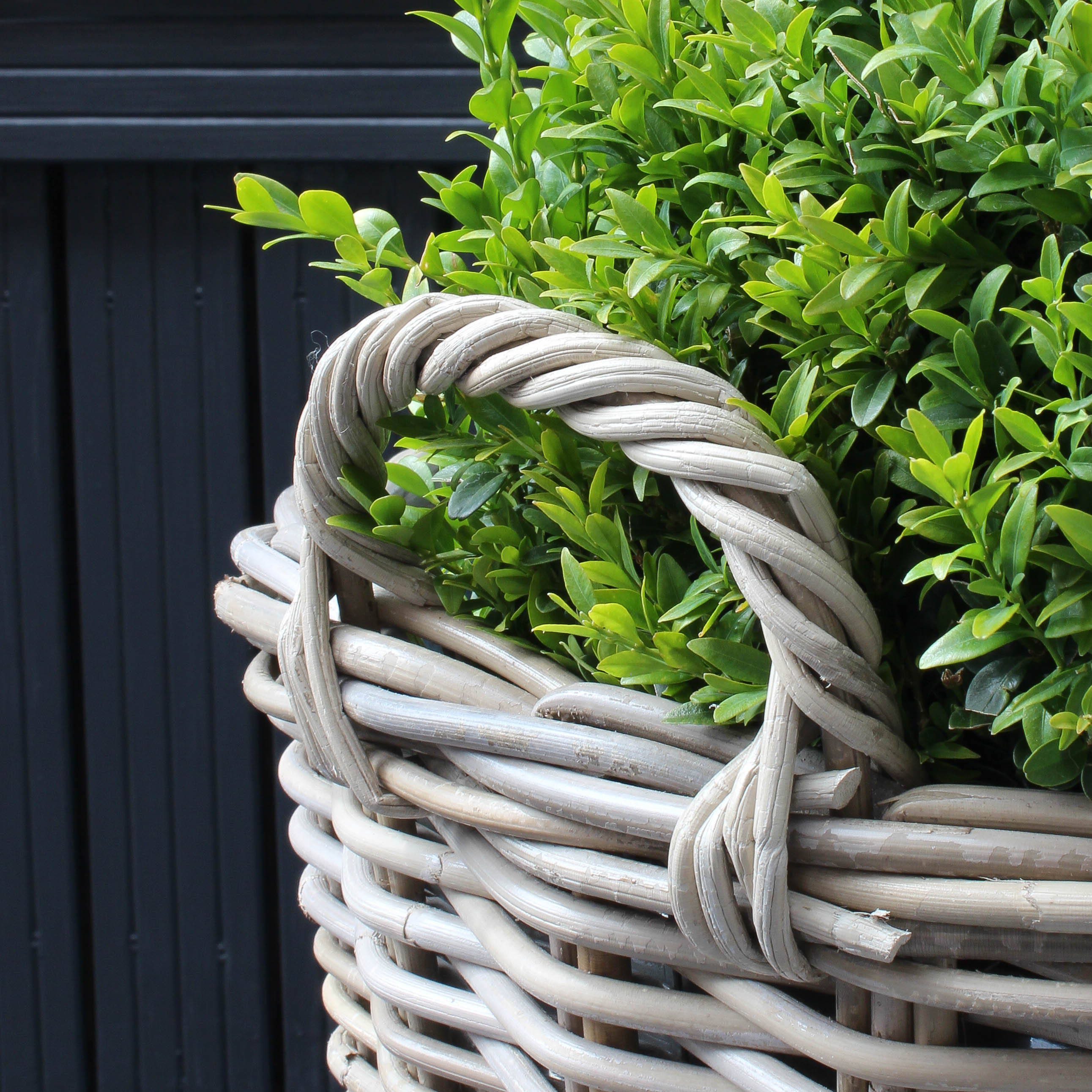 Extra Large Zinc Lined Rattan Planter - Marquis & Dawe