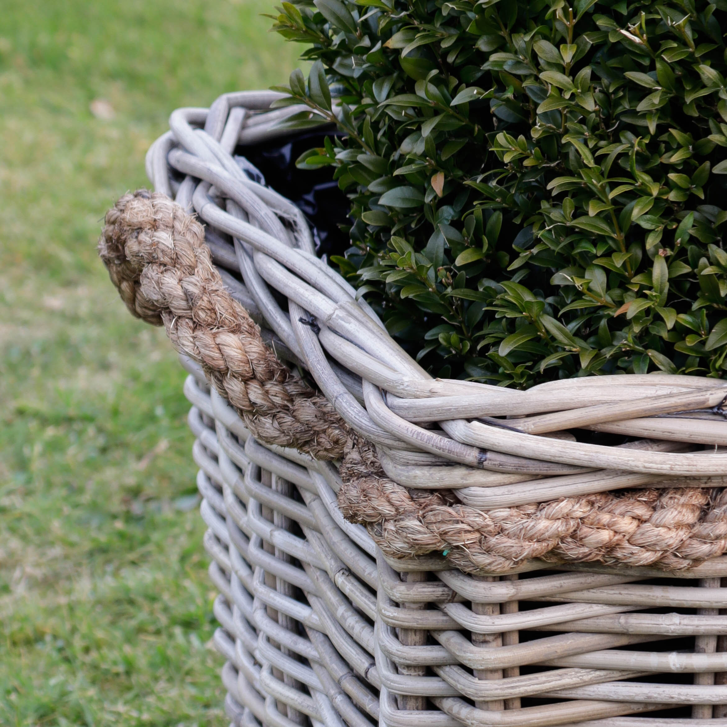 Square Rattan Planter with Rope Handle - Marquis & Dawe