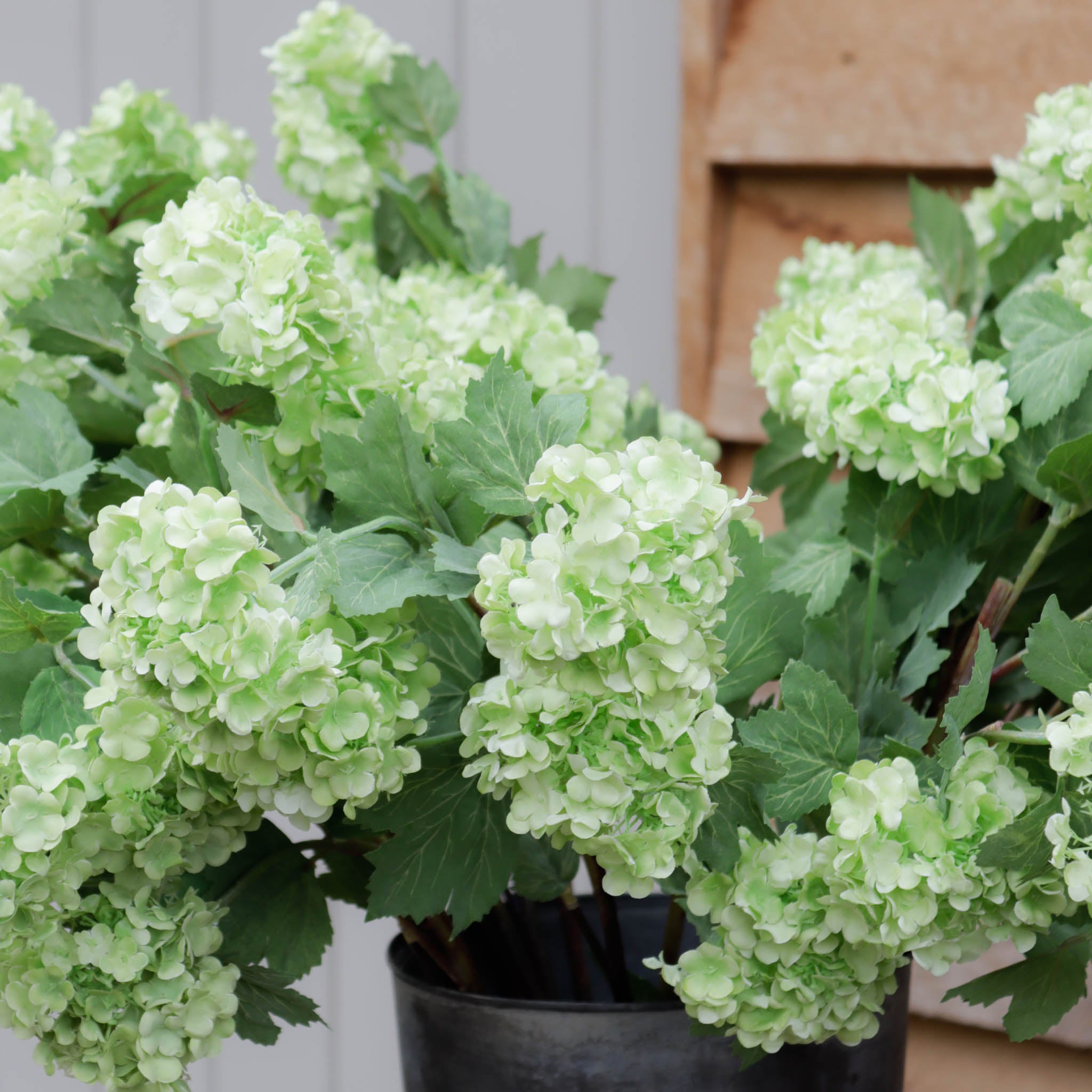 Faux Green Viburnum Stem - Marquis & Dawe