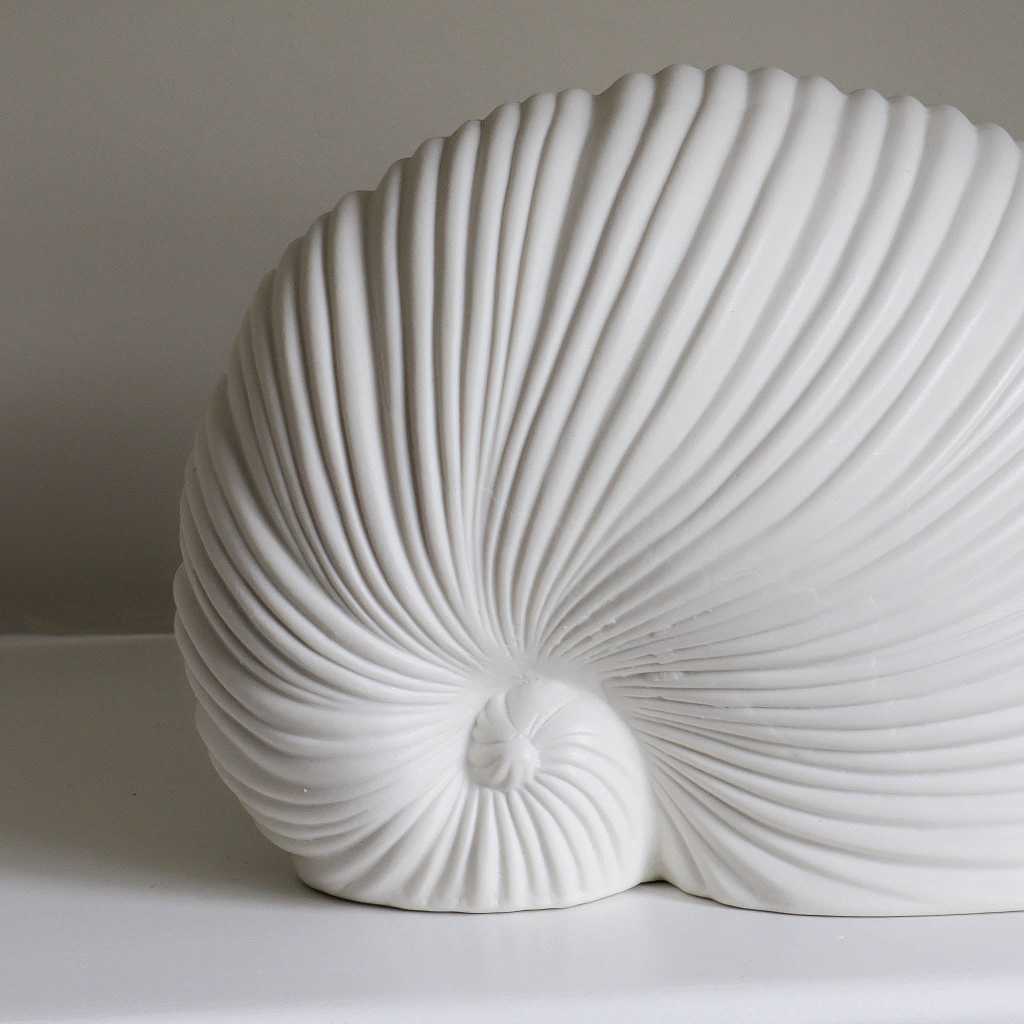 Large White Shell Ornament - Marquis & Dawe